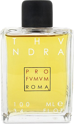Купить духи Profumum Roma Thundra. Оригинальная парфюмерия, туалетная ...